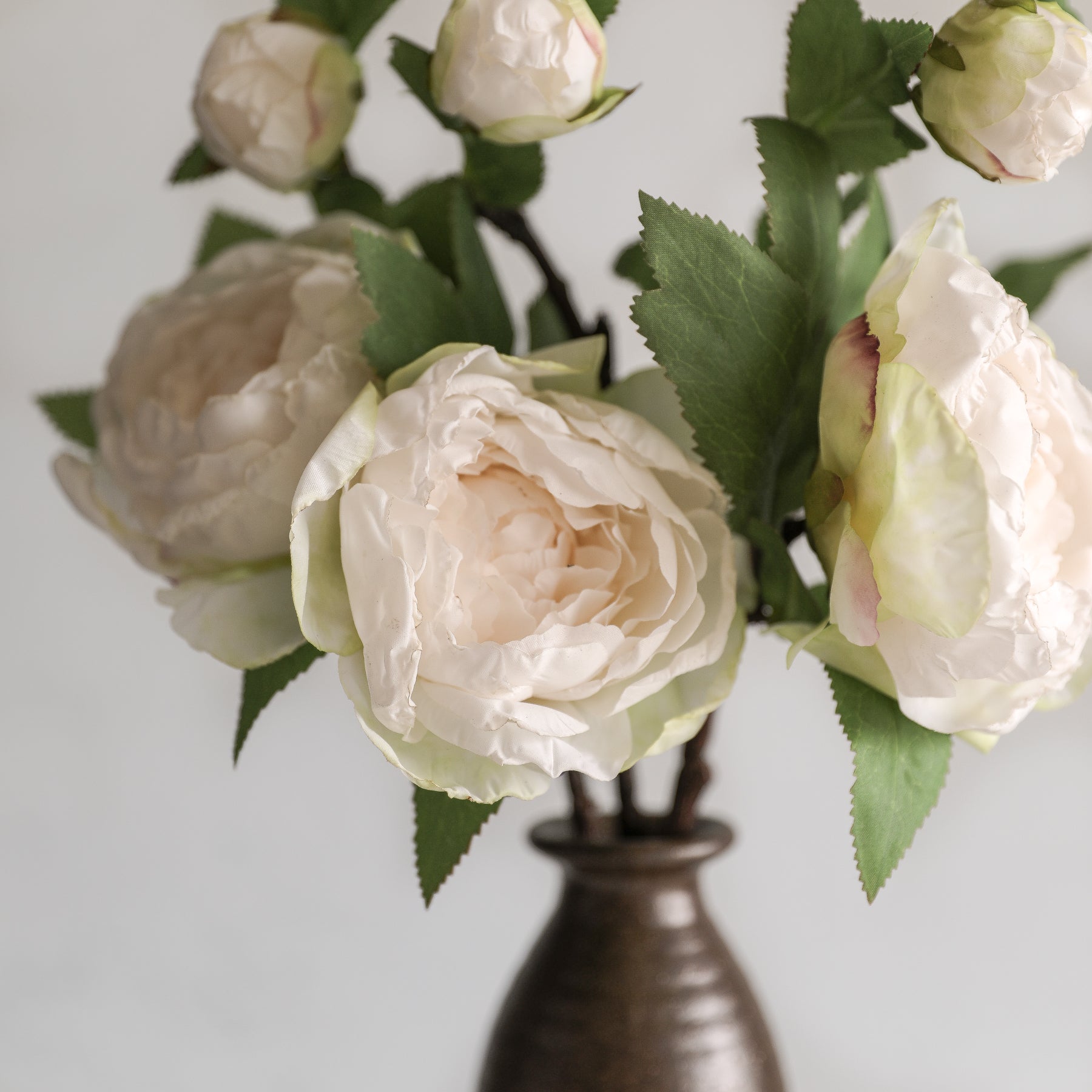 Cream Peony Stem – Grow + Gather