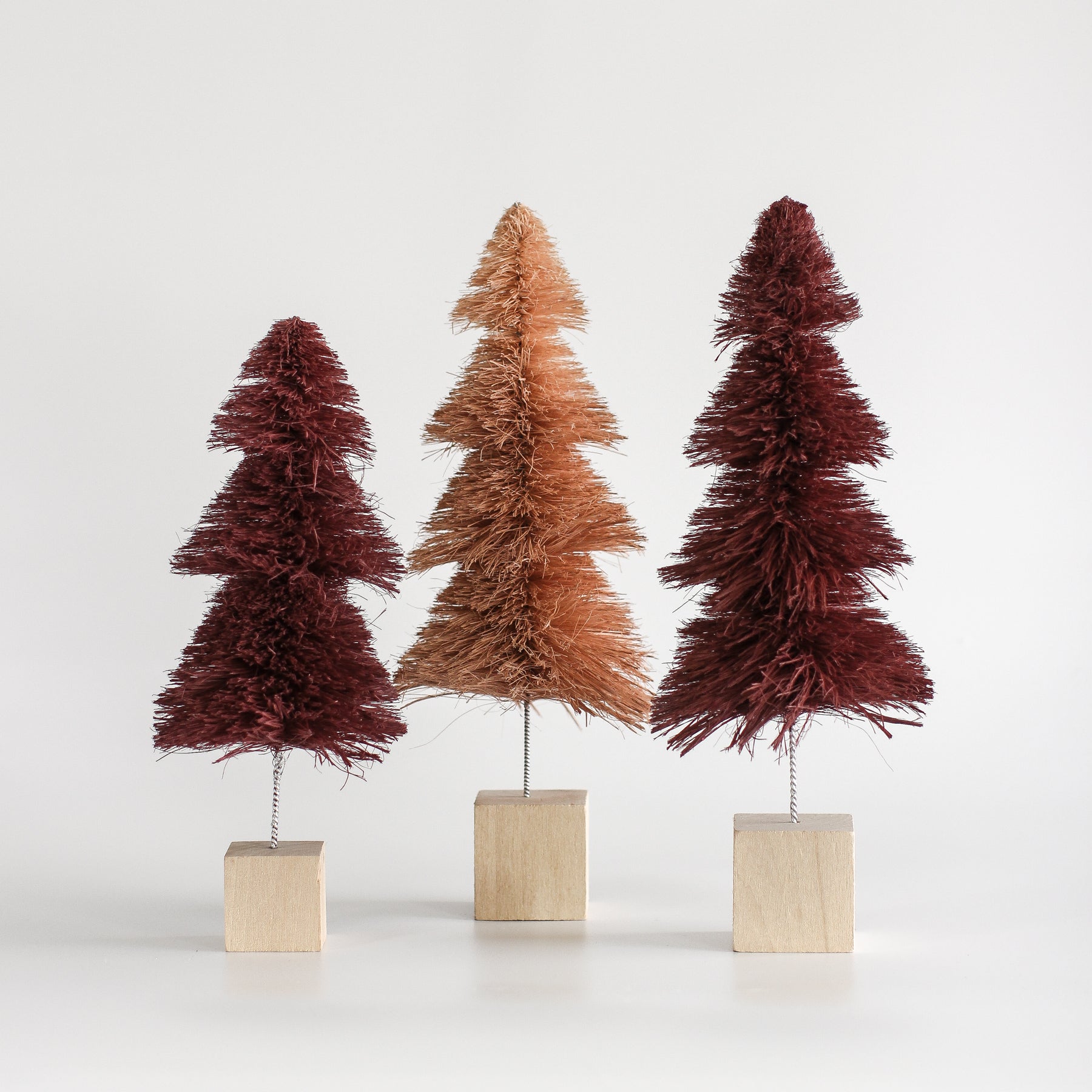 Pink Bottle Brush Tree – Grow + Gather